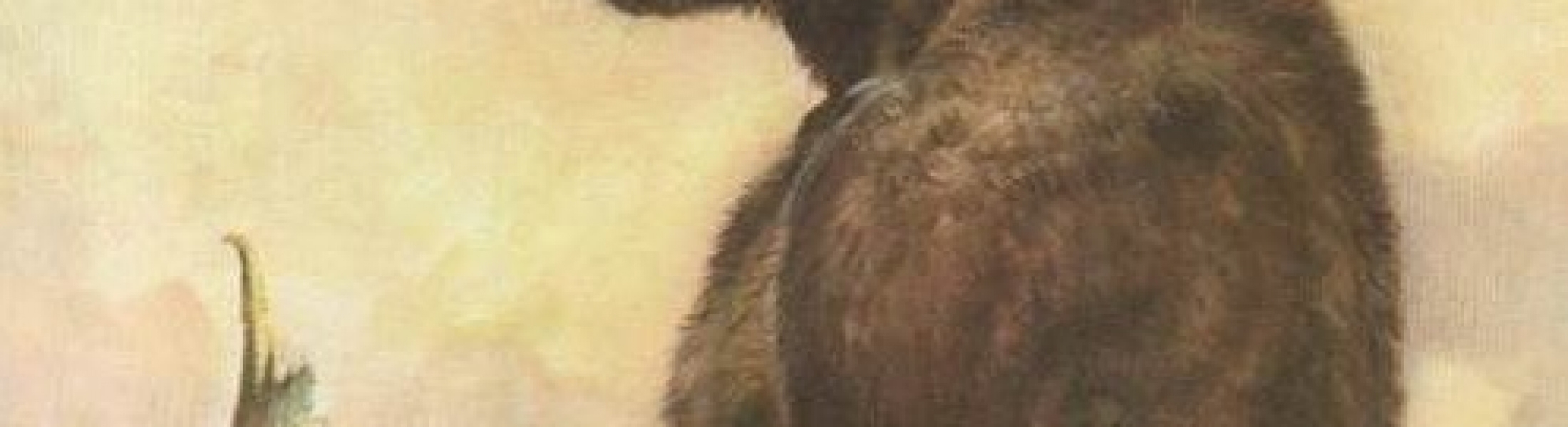 australopithecus_africanus - Strand on the Green Dental